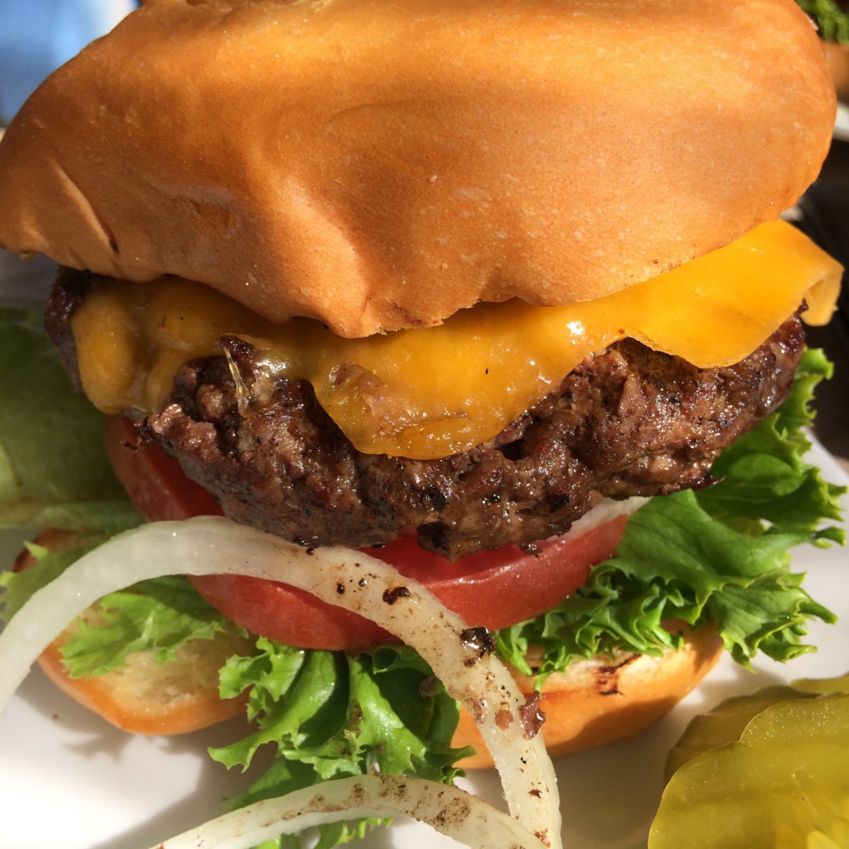 Tribeca Tavern in Cary, Very Good Burgers in the Triangle