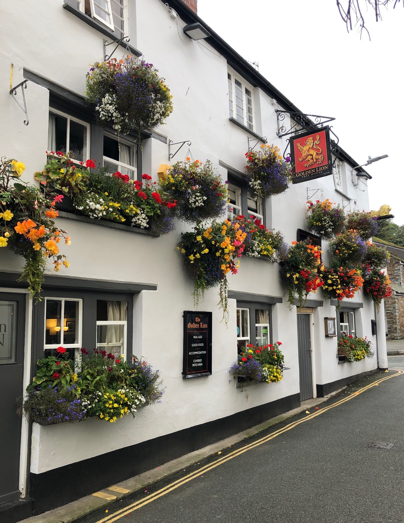 The Golden Lion in Padstow: Pub Grub